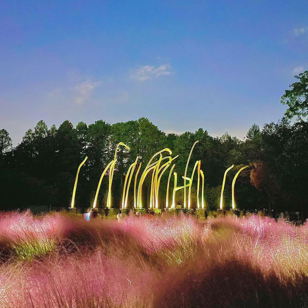 [Official] teamLab Botanical Garden Osaka | teamLab Night Open-Air Museum