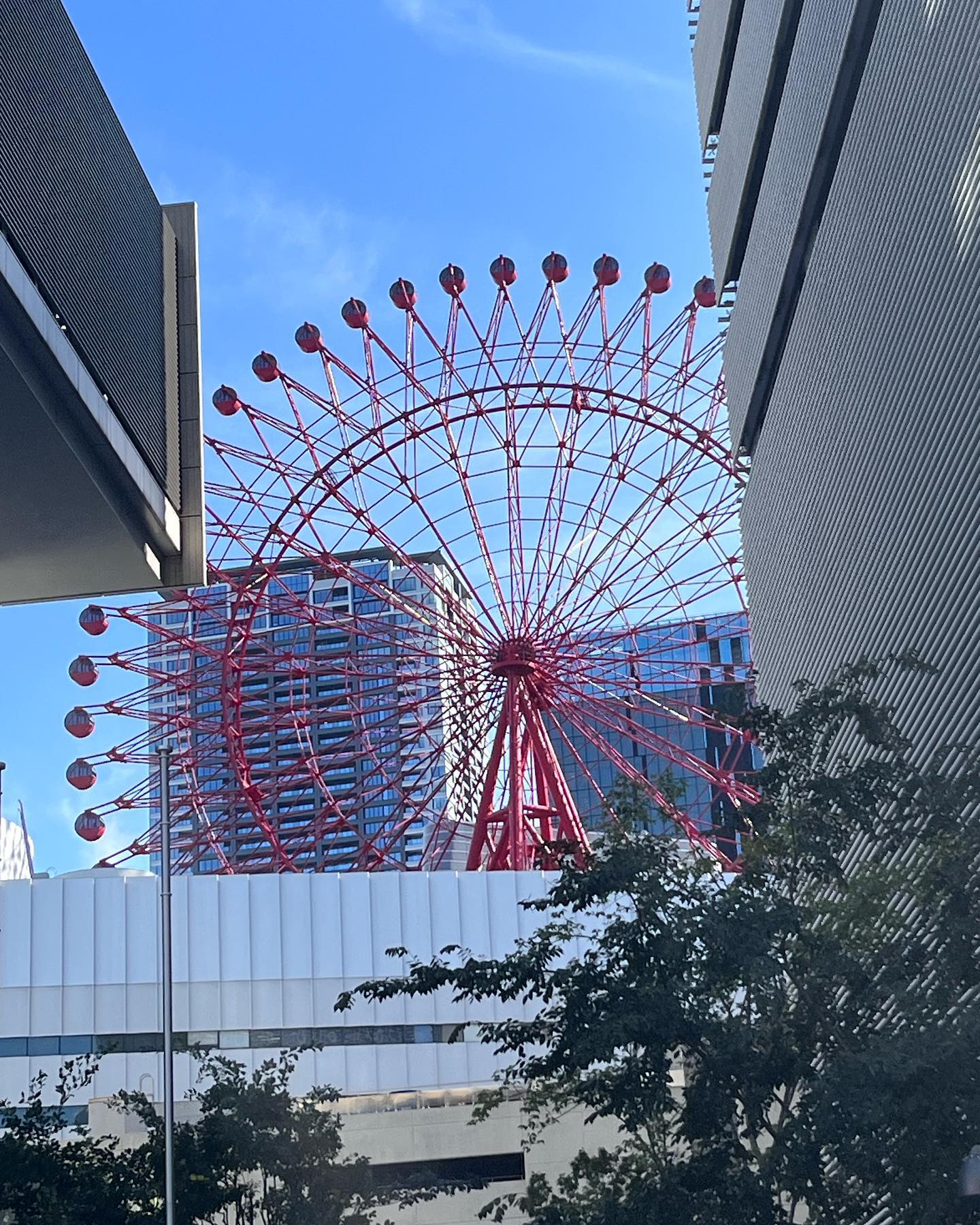[Official] teamLab Botanical Garden Osaka | teamLab Night Open-Air Museum