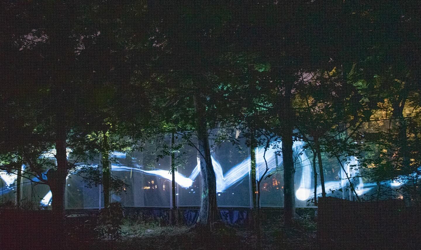 [Official] teamLab Botanical Garden Osaka | teamLab Night Open-Air Museum