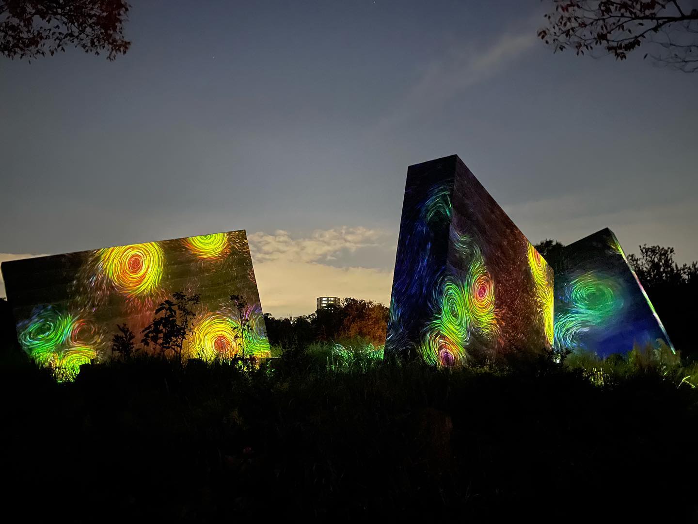 [Official] teamLab Botanical Garden Osaka | teamLab Night Open-Air Museum