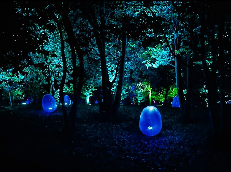 teamLab Botanical Garden Osaka | teamLab