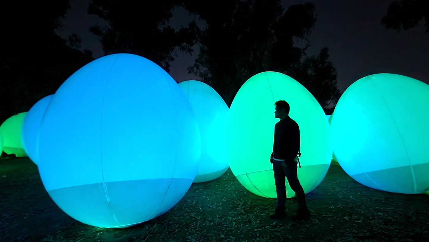 [Official] teamLab Botanical Garden Osaka | teamLab Night Open-Air Museum