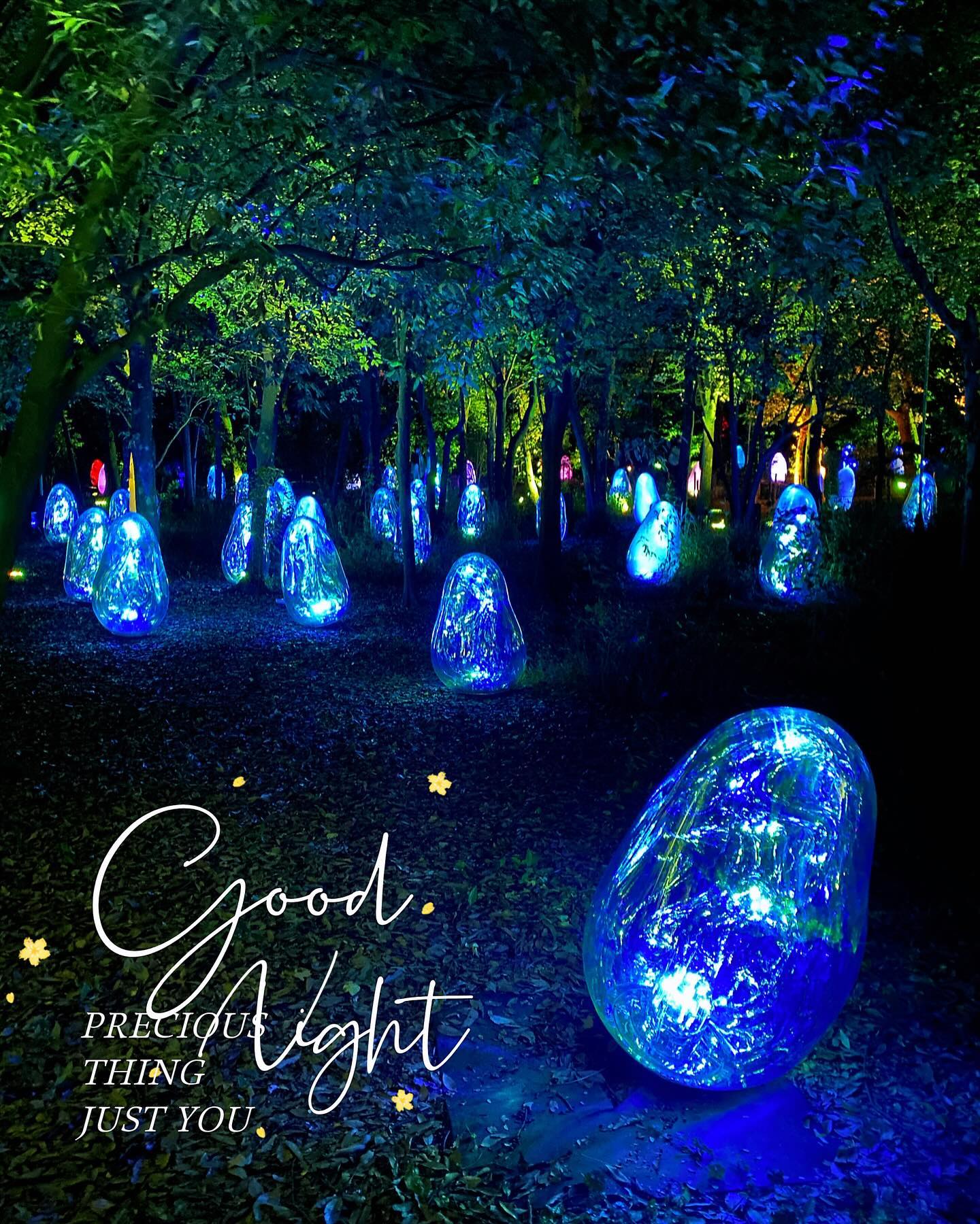 [Official] teamLab Botanical Garden Osaka | teamLab Night Open-Air Museum