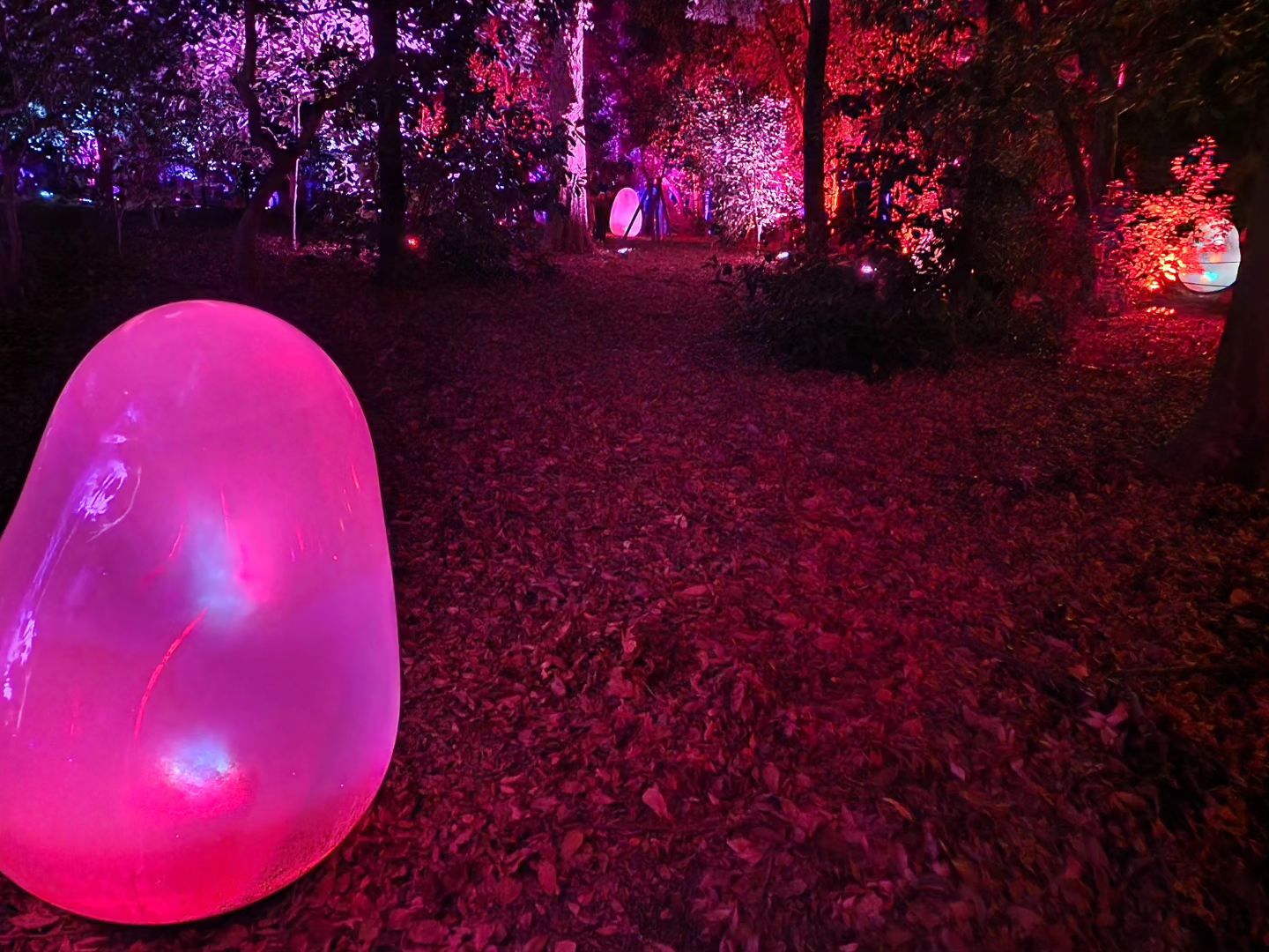 [Official] teamLab Botanical Garden Osaka | teamLab Night Open-Air Museum