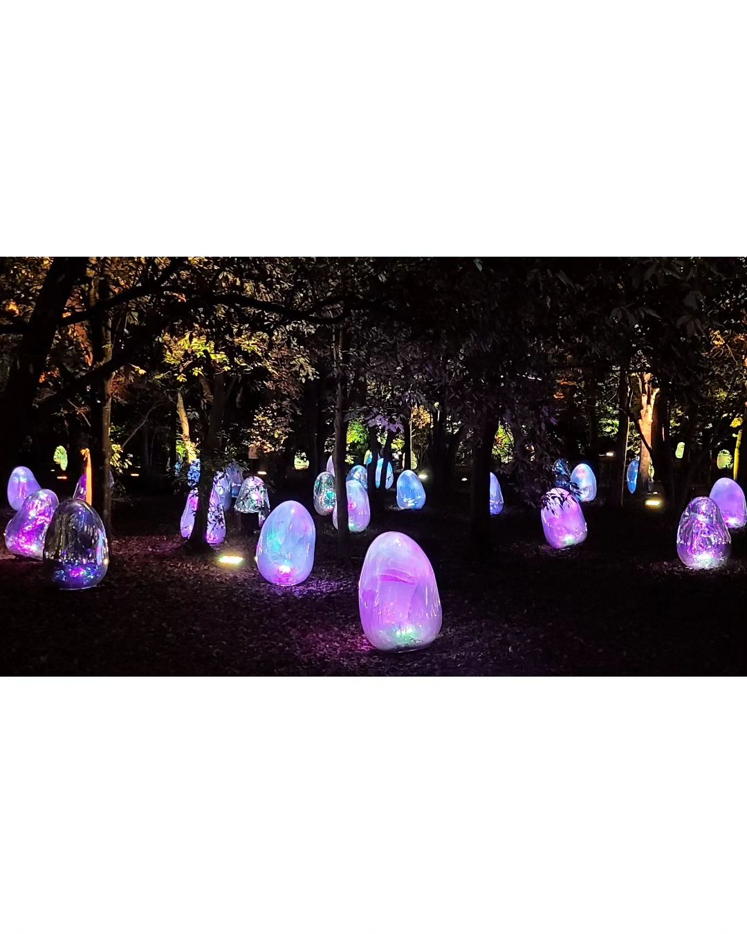 teamLab Botanical Garden Osaka | teamLab