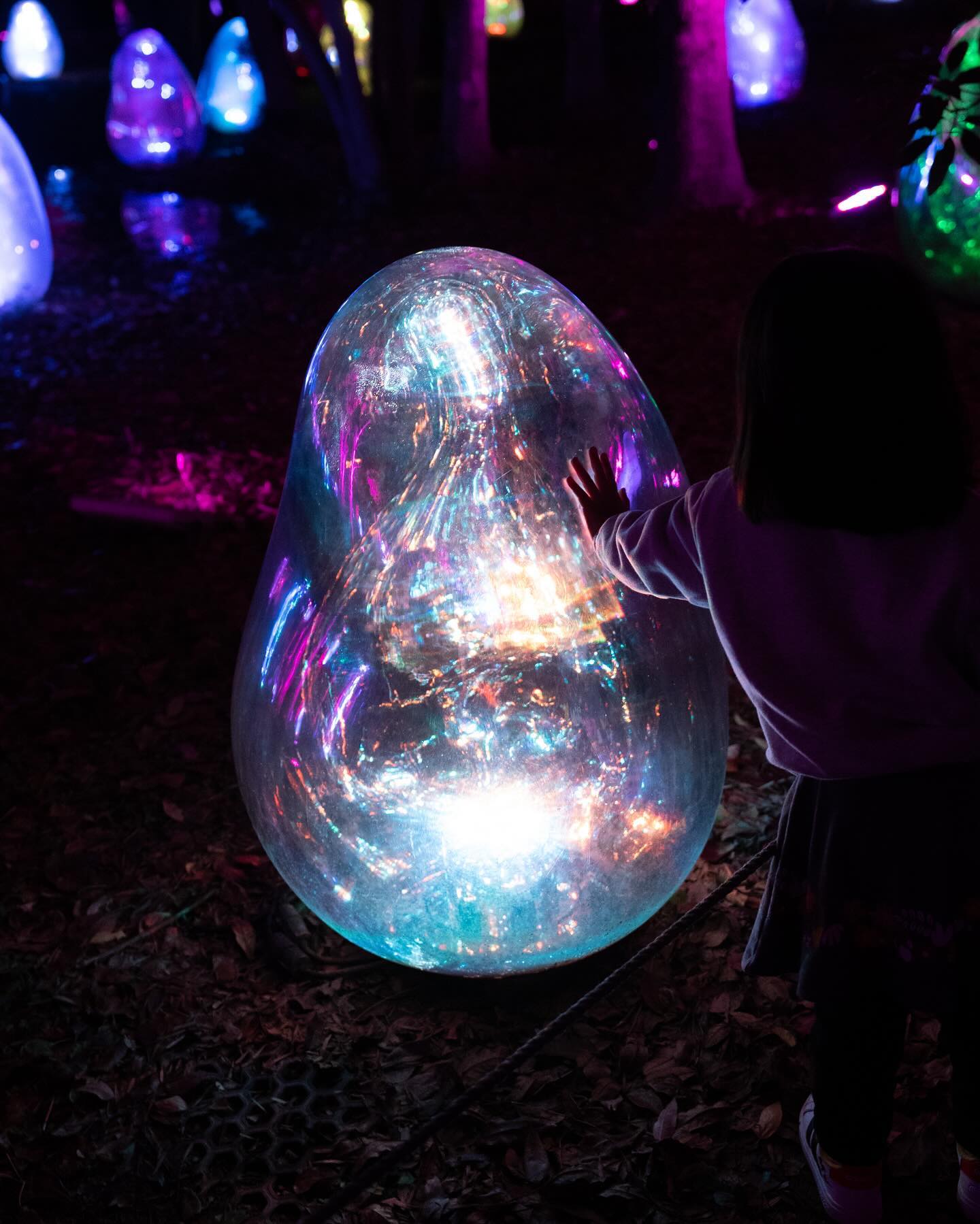 teamLab Botanical Garden Osaka | teamLab