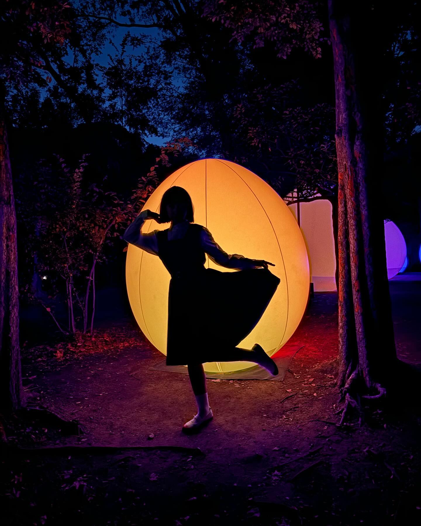 teamLab Botanical Garden Osaka | teamLab