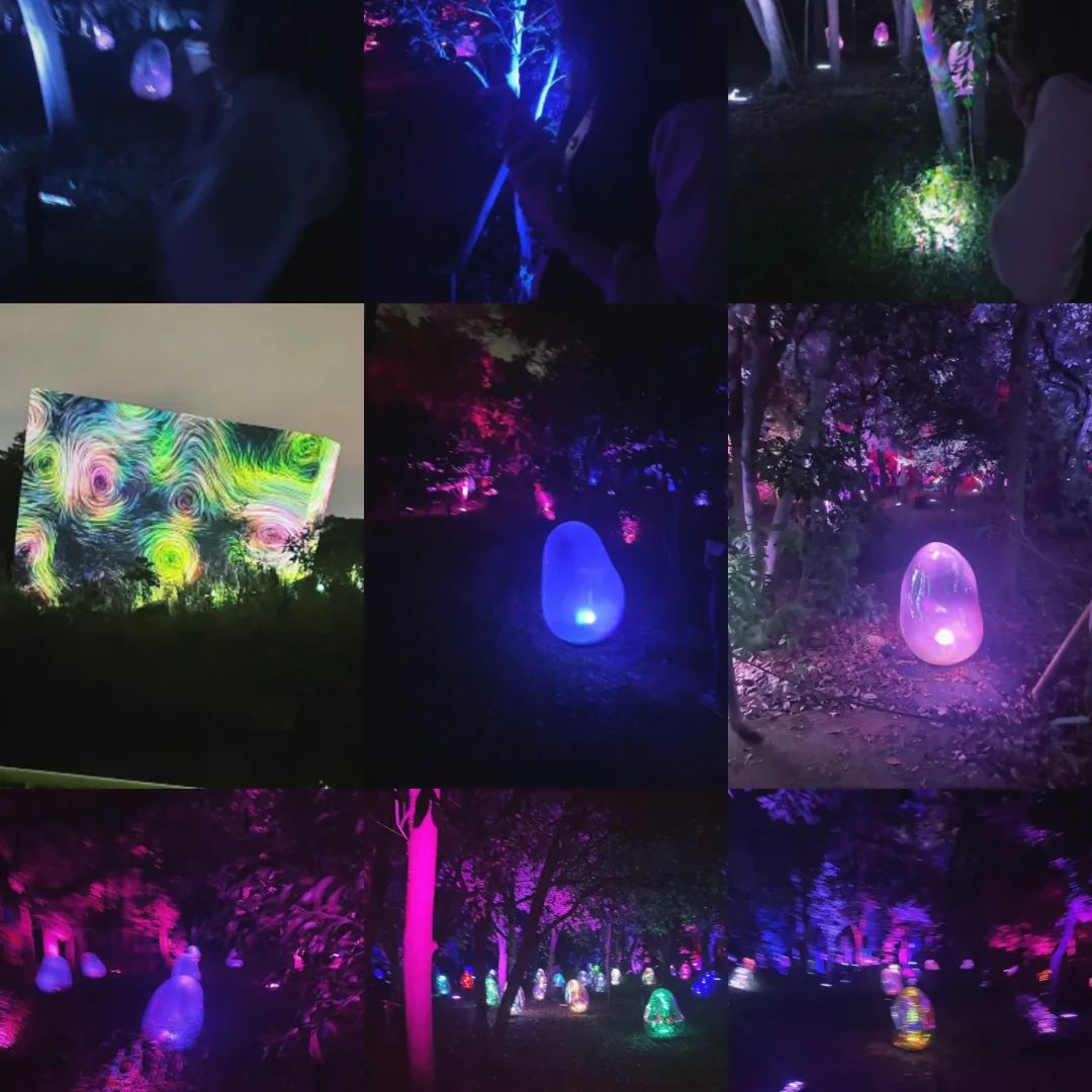 teamLab Botanical Garden Osaka | teamLab