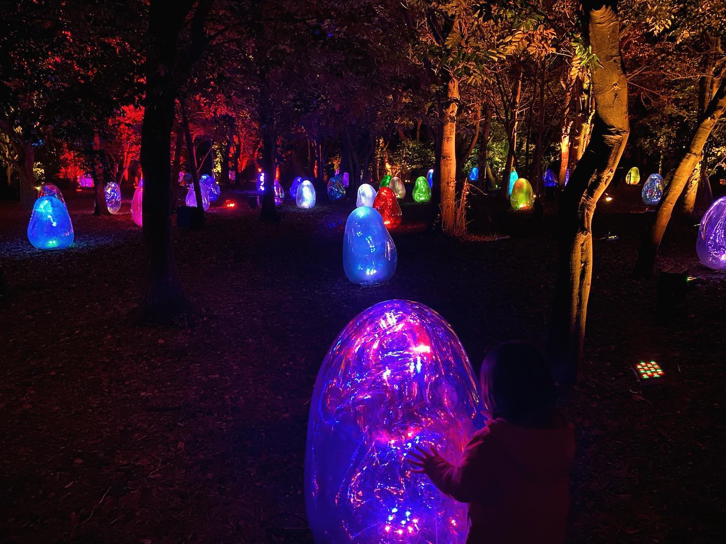 teamLab Botanical Garden Osaka | teamLab