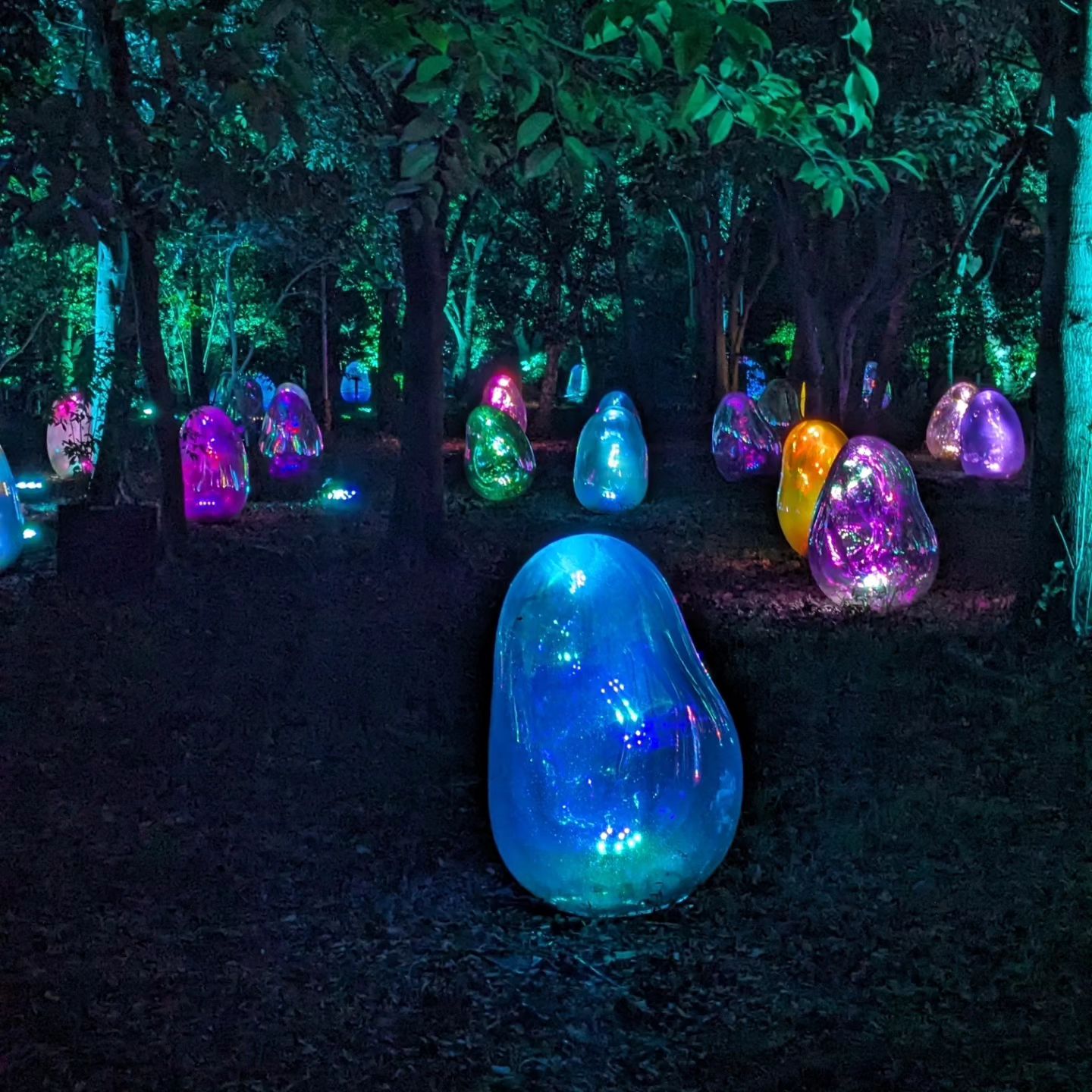 teamLab Botanical Garden Osaka | teamLab