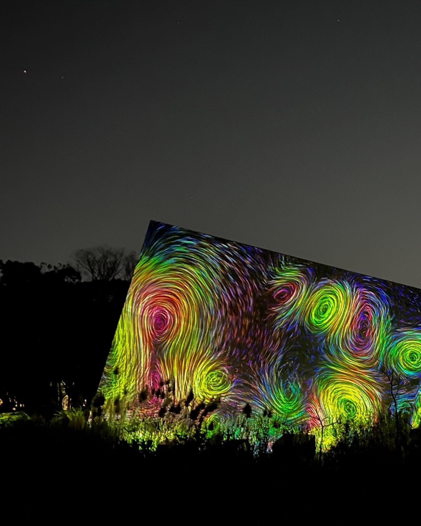 [Official] teamLab Botanical Garden Osaka | teamLab Night Open-Air Museum