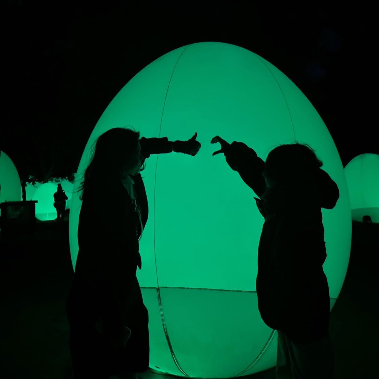 [Official] teamLab Botanical Garden Osaka | teamLab Night Open-Air Museum