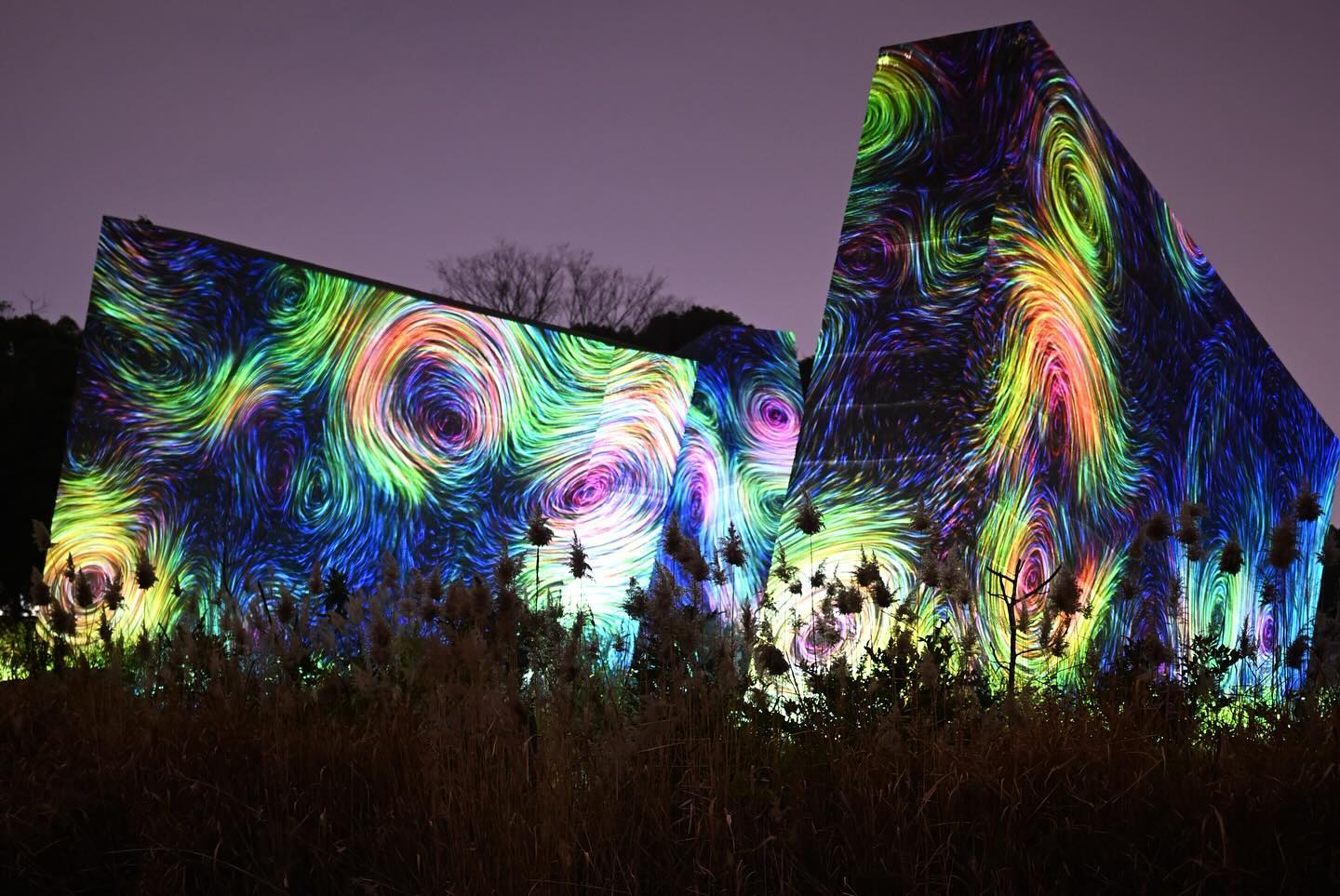 [Official] teamLab Botanical Garden Osaka | teamLab Night Open-Air Museum