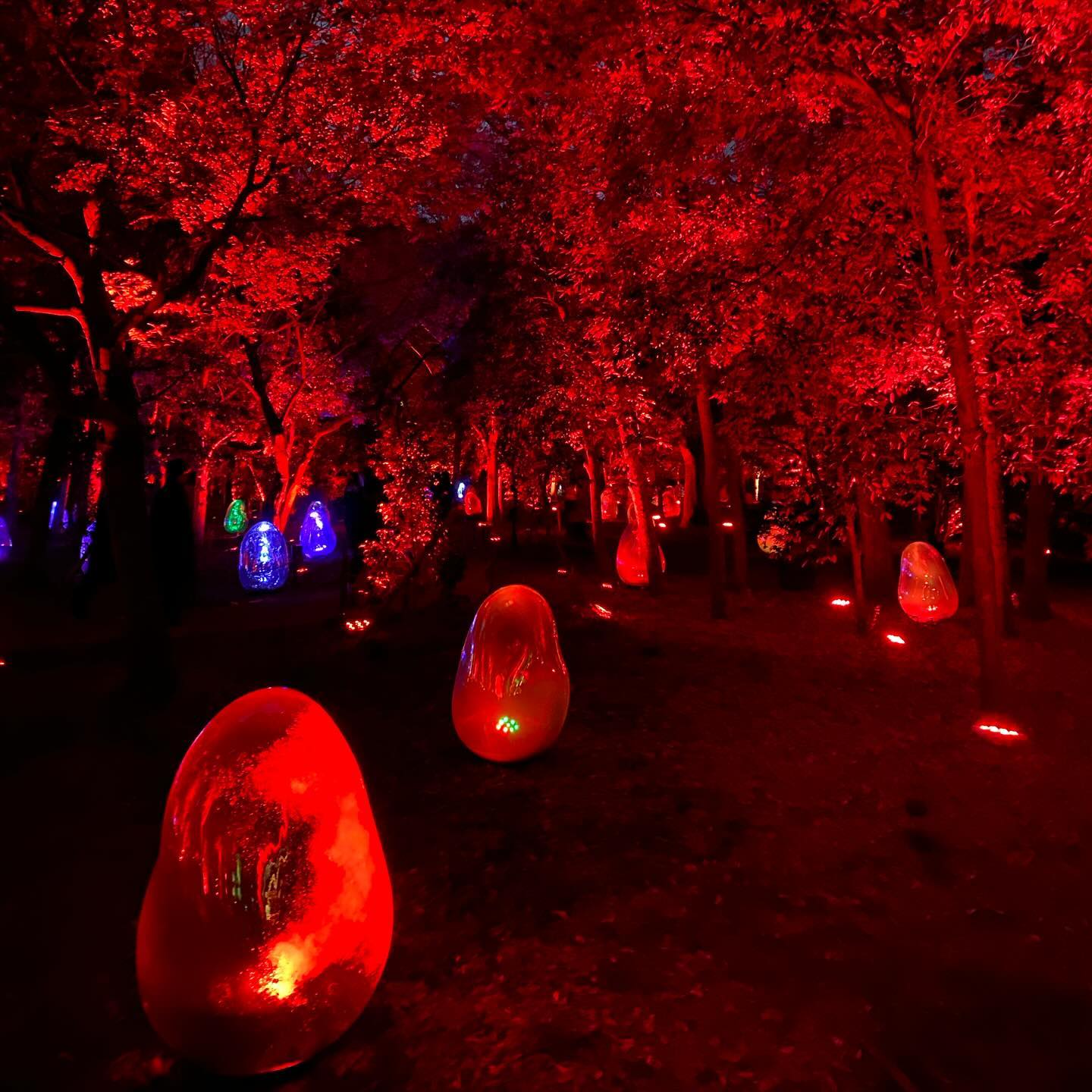 [Official] teamLab Botanical Garden Osaka | teamLab Night Open-Air Museum