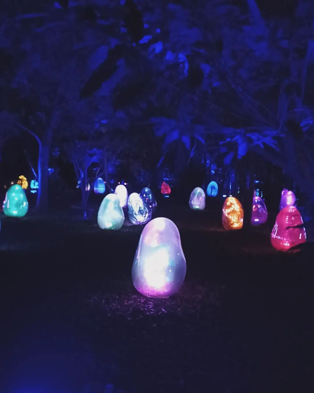 teamLab Botanical Garden Osaka | teamLab