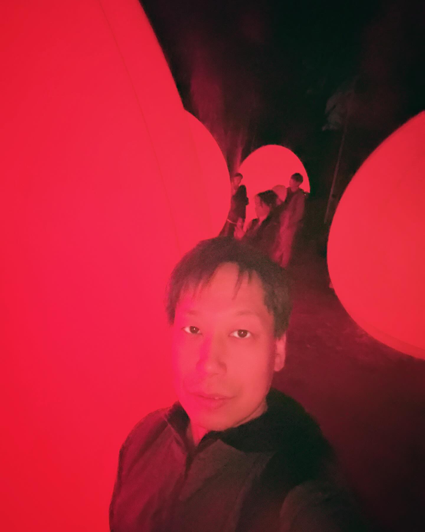 teamLab Botanical Garden Osaka | teamLab