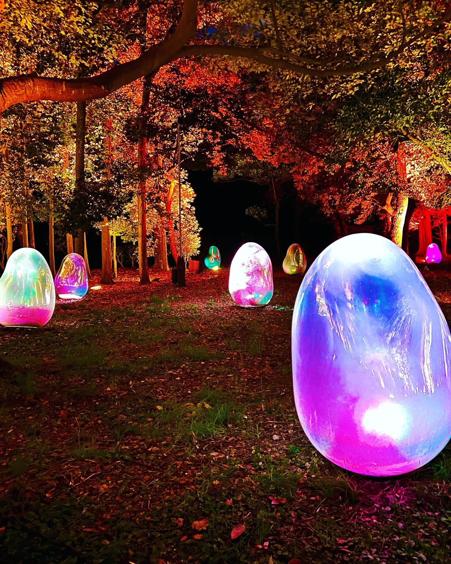 teamLab Botanical Garden Osaka | teamLab