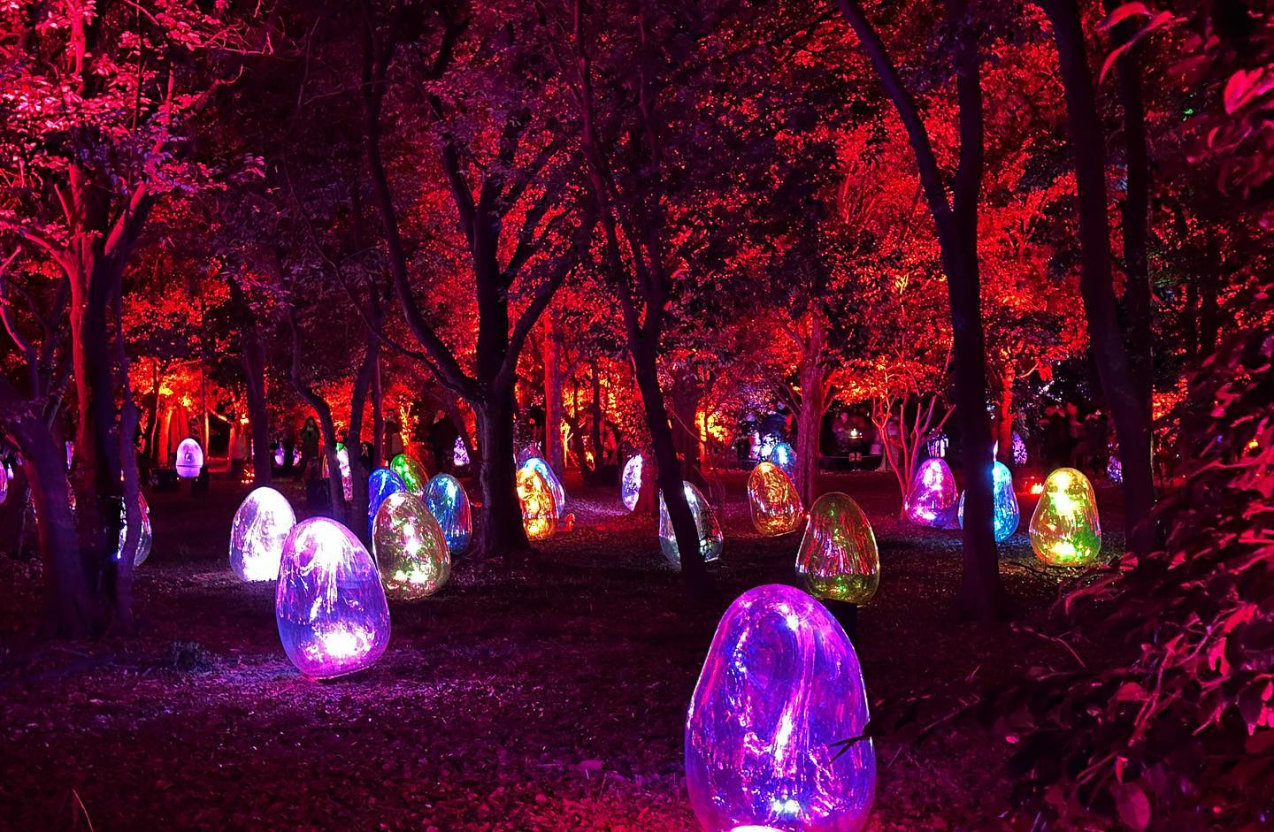 teamLab Botanical Garden Osaka | teamLab