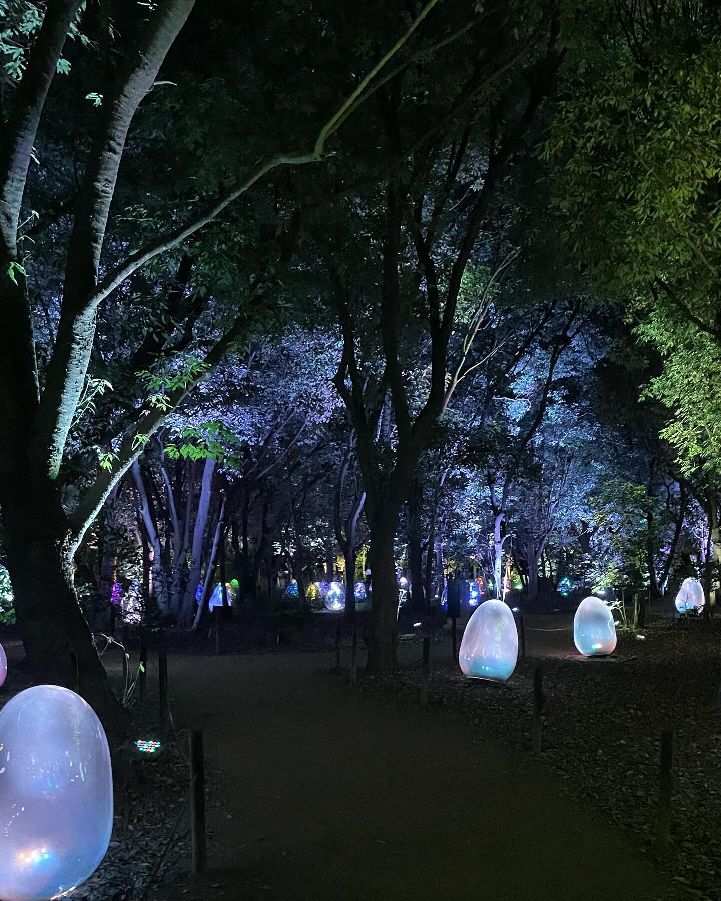 [Official] teamLab Botanical Garden Osaka | teamLab Night Open-Air Museum