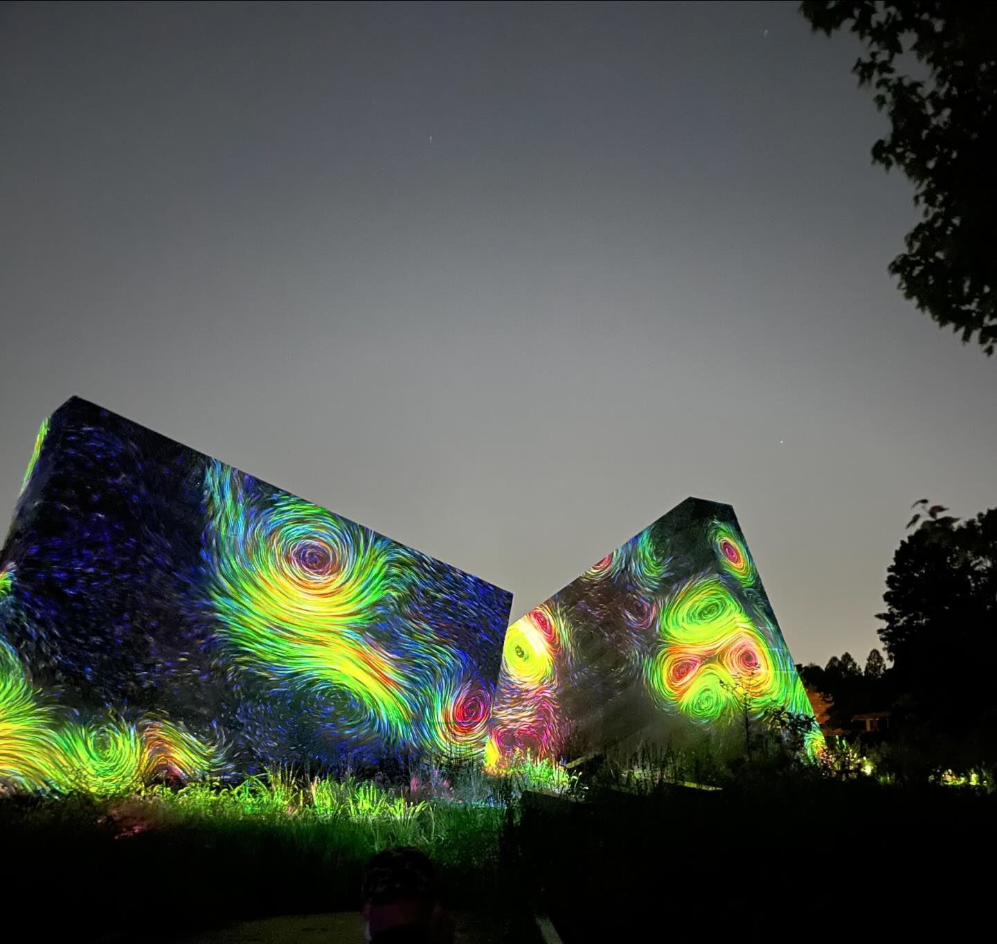 [Official] teamLab Botanical Garden Osaka | teamLab Night Open-Air Museum
