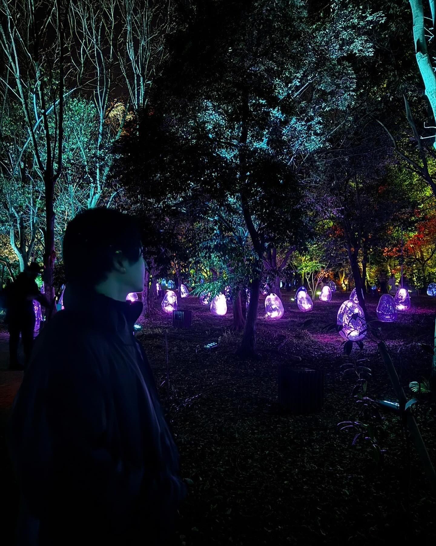 [Official] teamLab Botanical Garden Osaka | teamLab Night Open-Air Museum