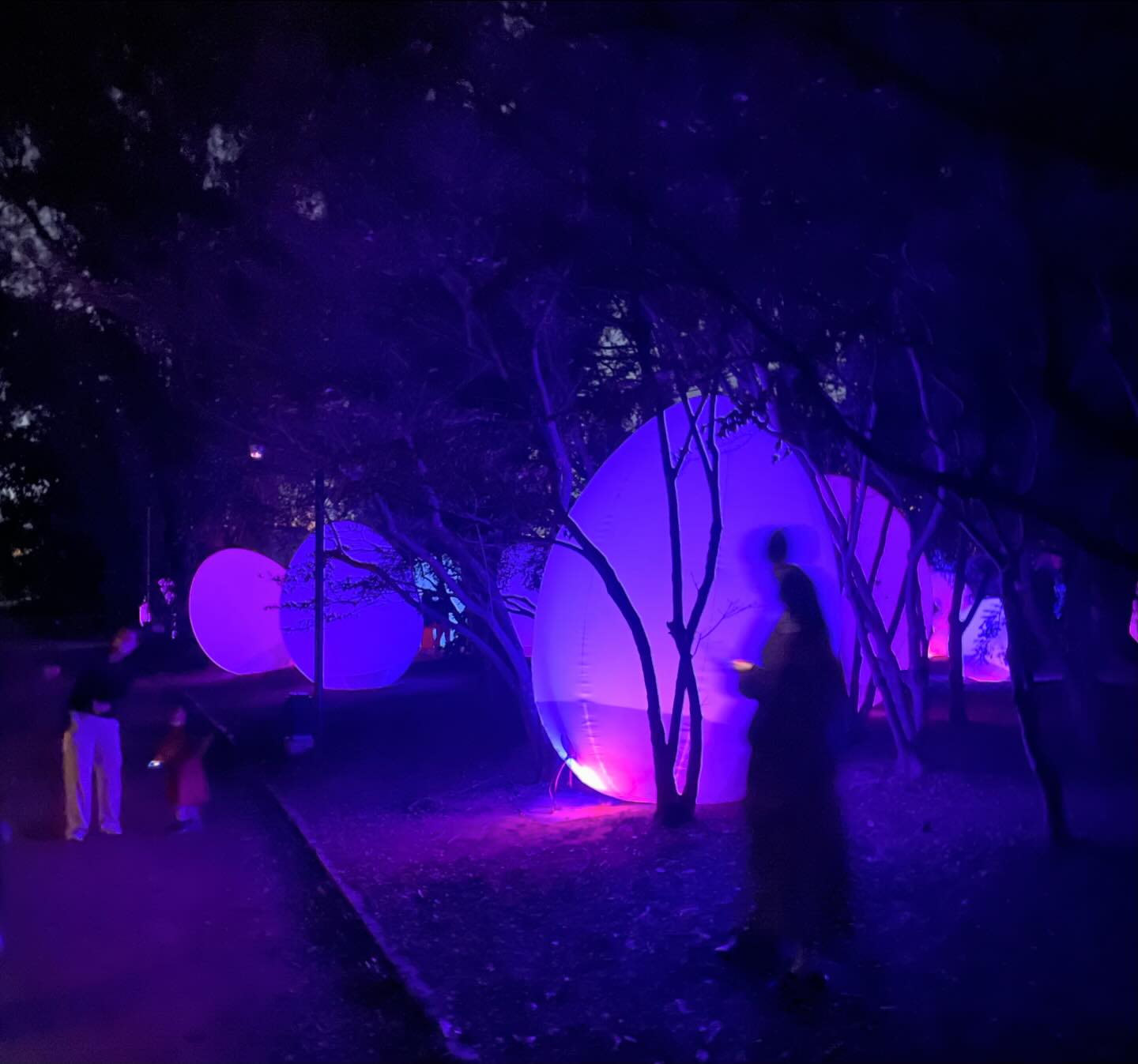 [Official] teamLab Botanical Garden Osaka | teamLab Night Open-Air Museum