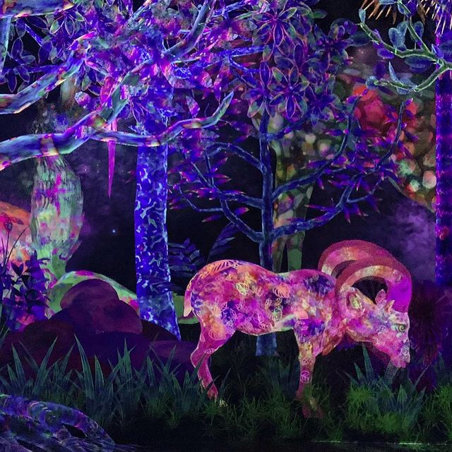 teamLab Forest Fukuoka - SBI SECURITIES Co., Ltd., Fukuoka | teamLab