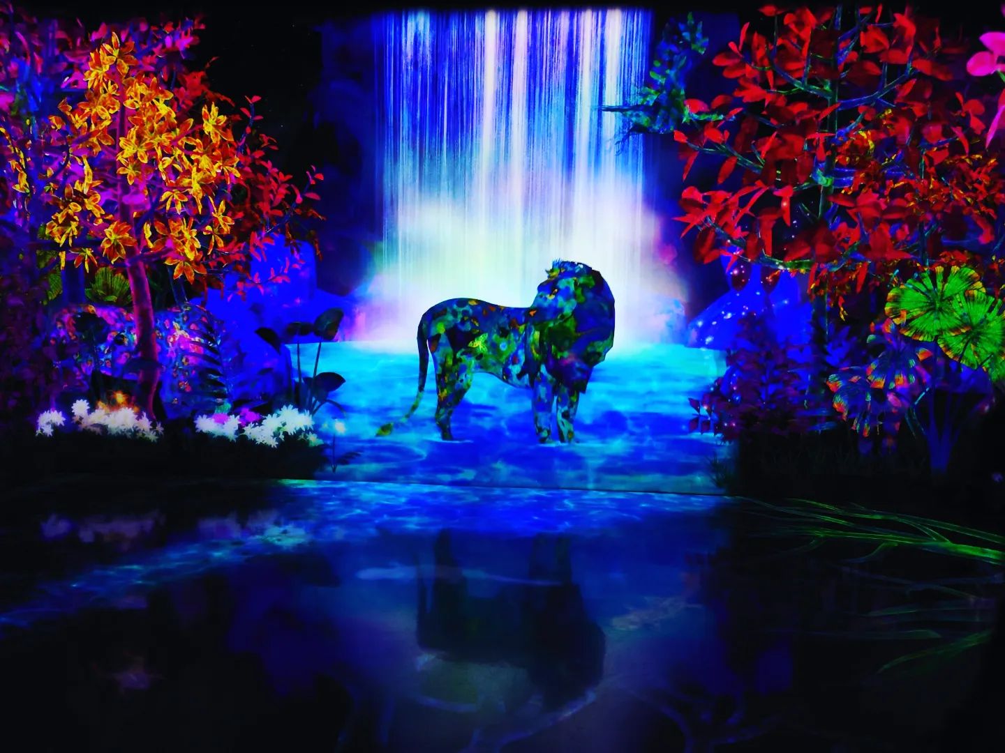 teamLab Forest Fukuoka - SBI SECURITIES Co., Ltd., Fukuoka | teamLab