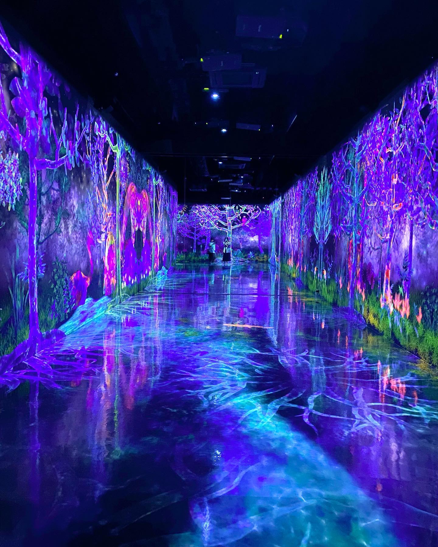 teamLab Forest Fukuoka - SBI SECURITIES Co., Ltd., Fukuoka | teamLab