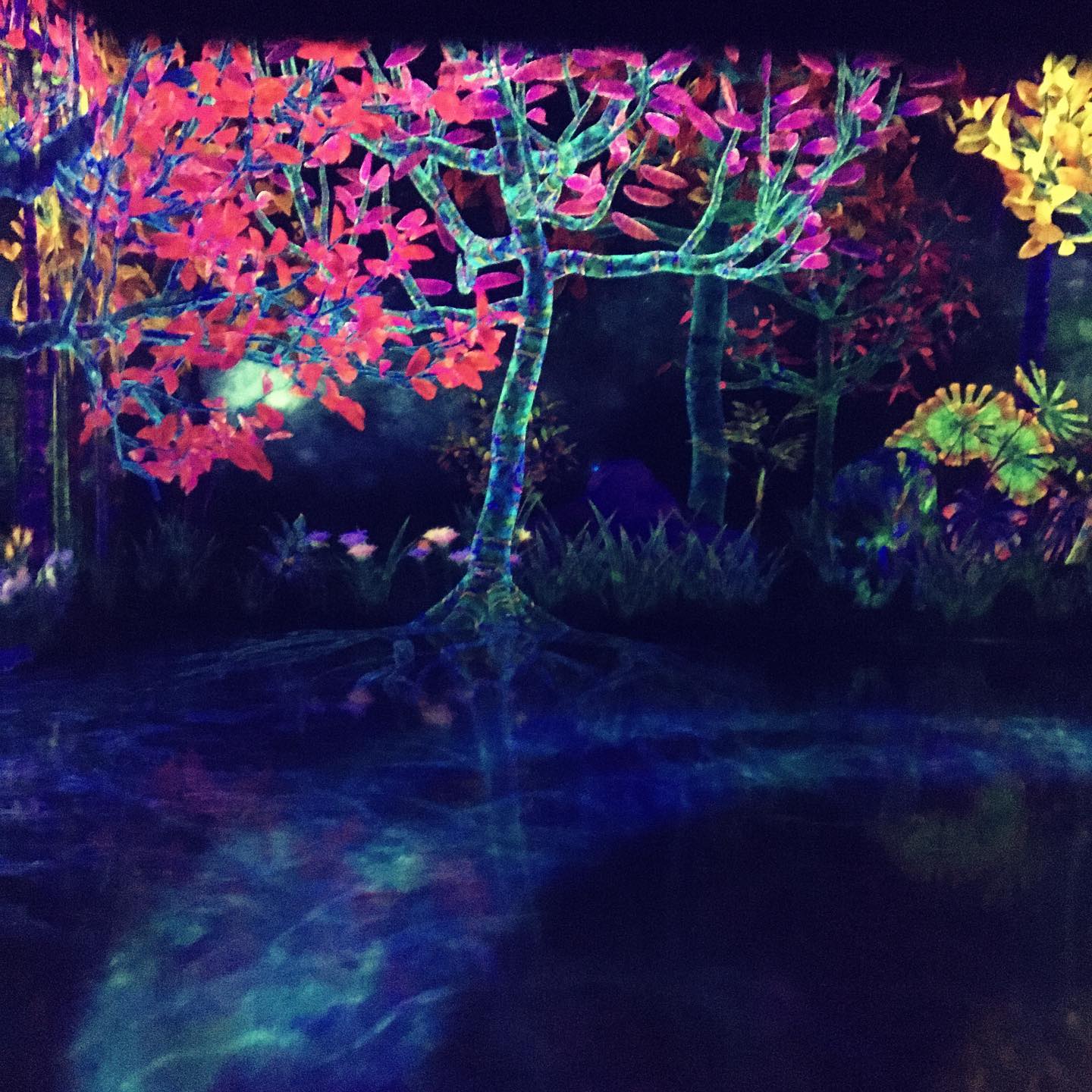 teamLab Forest Fukuoka - SBI SECURITIES Co., Ltd., Fukuoka | teamLab