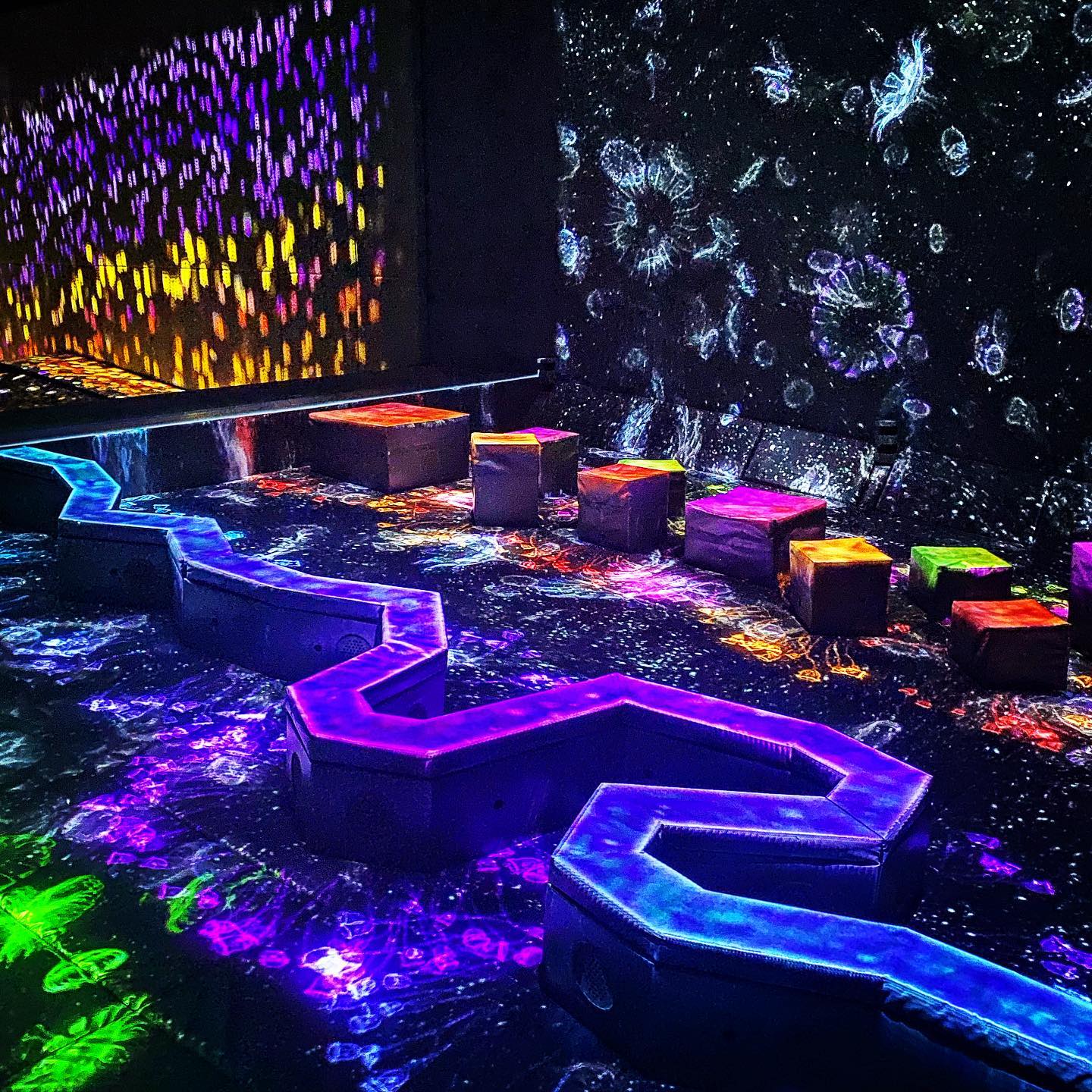 teamLab Forest Fukuoka - SBI SECURITIES Co., Ltd., Fukuoka | teamLab