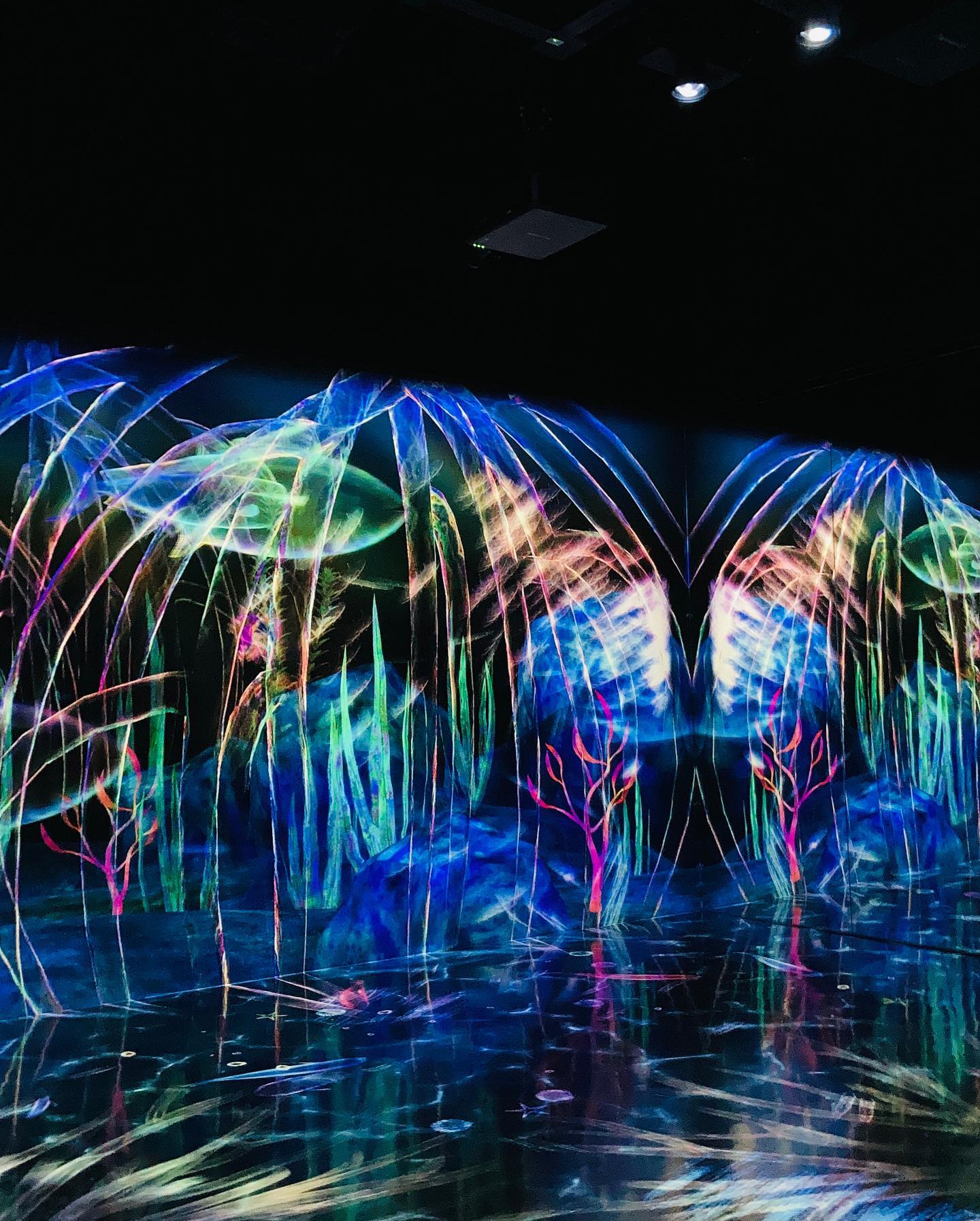teamLab Forest Fukuoka - SBI SECURITIES Co., Ltd., Fukuoka | teamLab