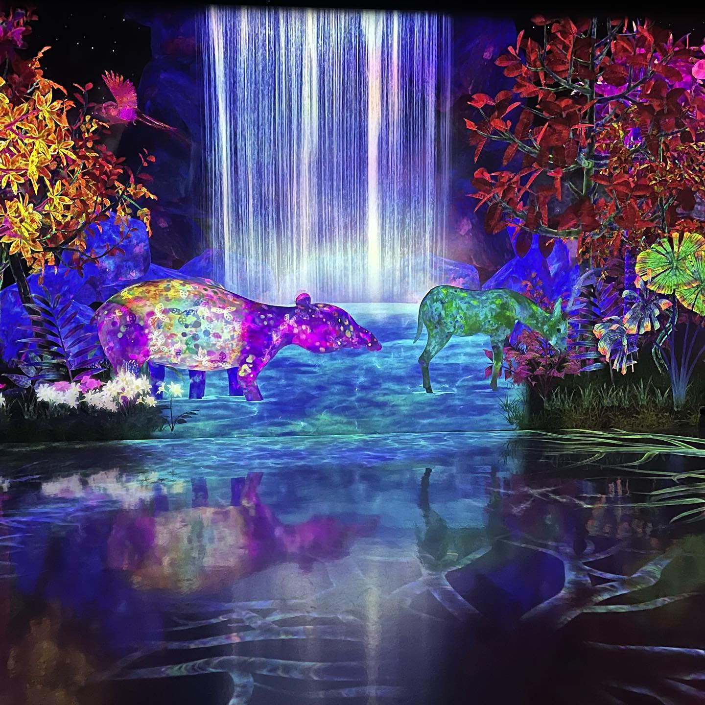 teamLab Forest Fukuoka - SBI SECURITIES Co., Ltd., Fukuoka | teamLab
