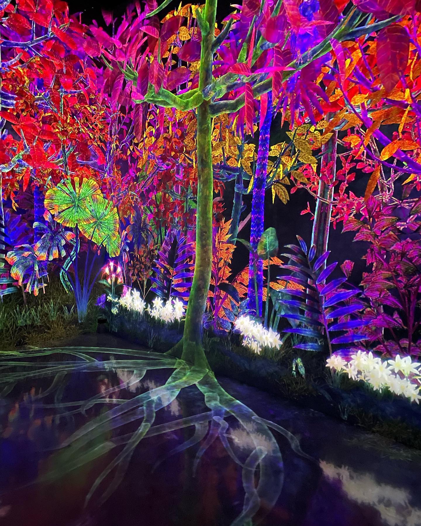 teamLab Forest Fukuoka - SBI SECURITIES Co., Ltd., Fukuoka | teamLab