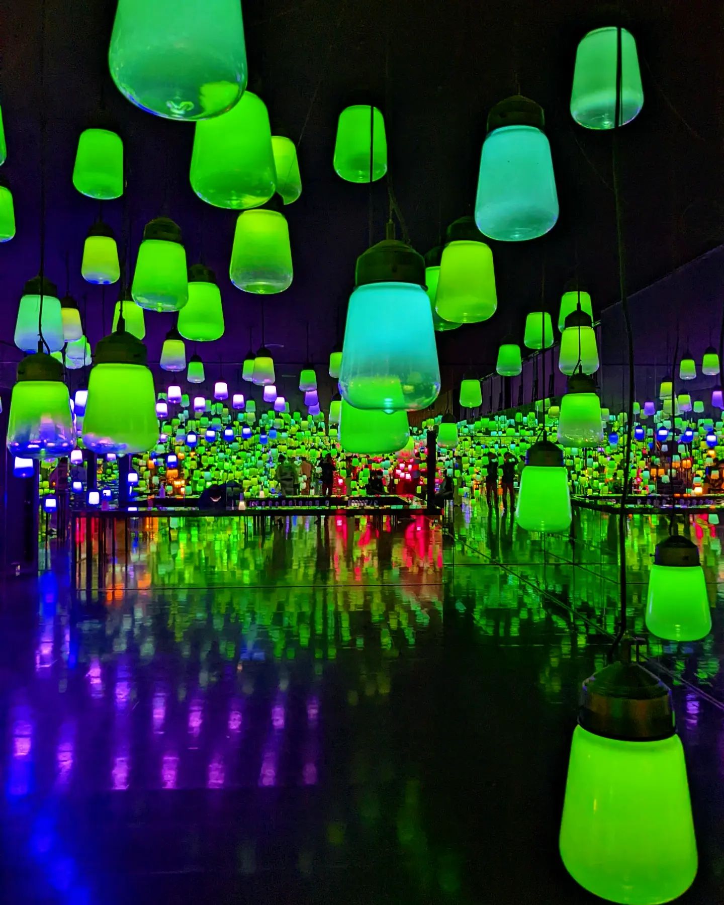 teamLab: A Forest Where Gods Live | teamLab