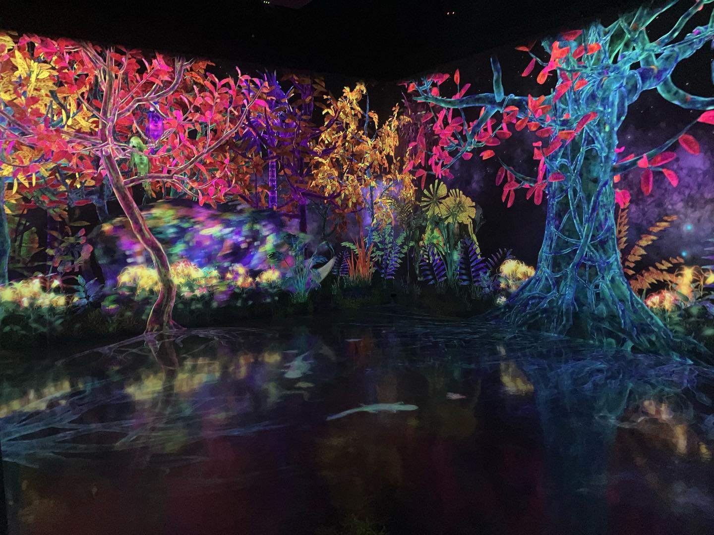 teamLab Forest Fukuoka - SBI SECURITIES Co., Ltd. | teamLab