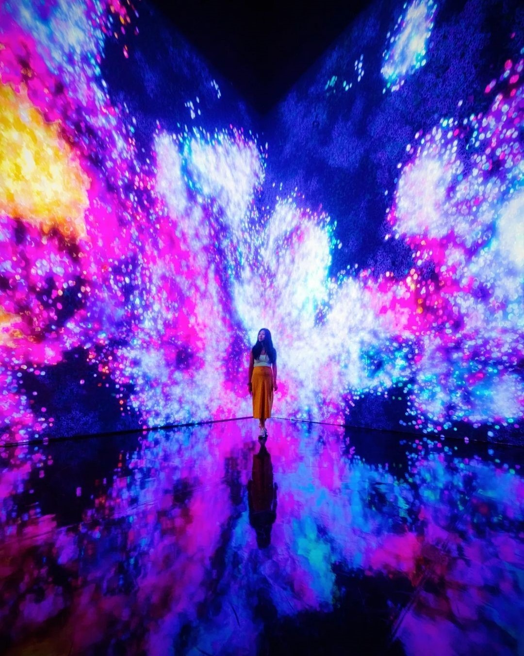 Future World: Where Art Meets Science, 艺术科学博物馆, 新加坡 | teamLab