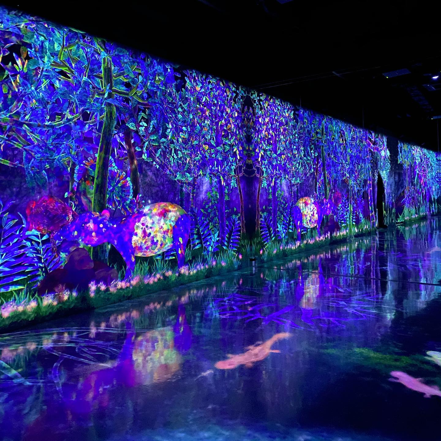teamLab Forest Fukuoka - SBI SECURITIES Co., Ltd., Fukuoka | teamLab