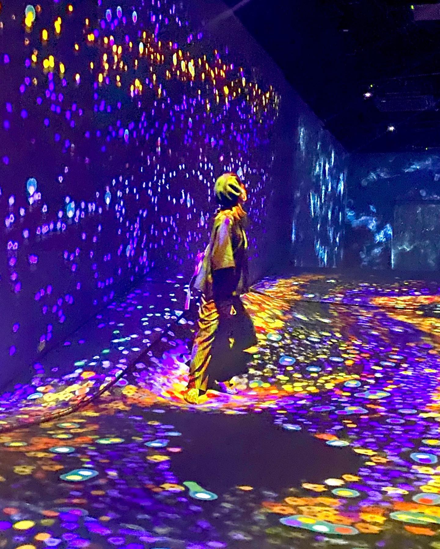 teamLab Forest Fukuoka - SBI SECURITIES Co., Ltd., Fukuoka | teamLab