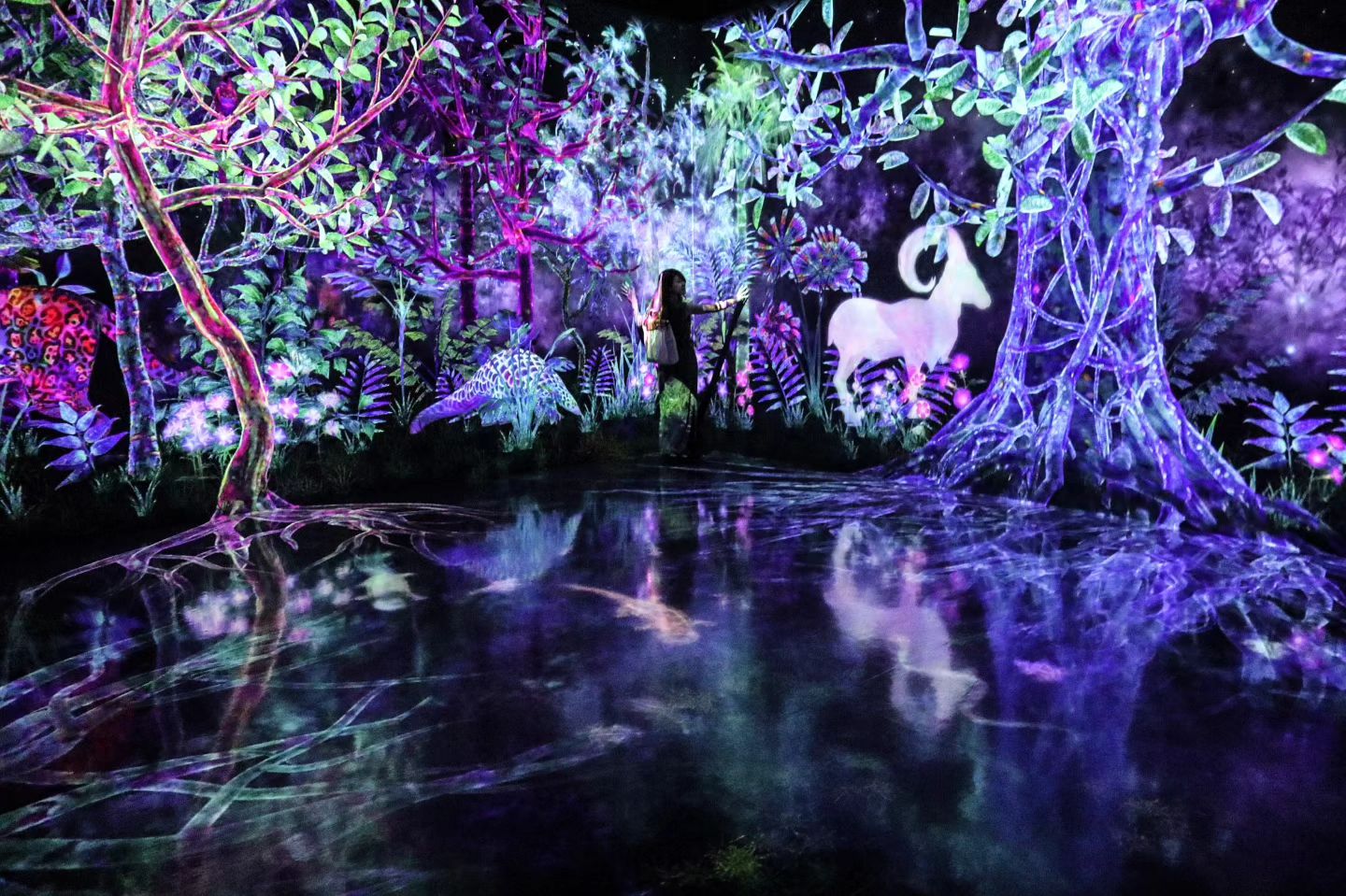 teamLab Forest Fukuoka - SBI SECURITIES Co., Ltd., Fukuoka | teamLab