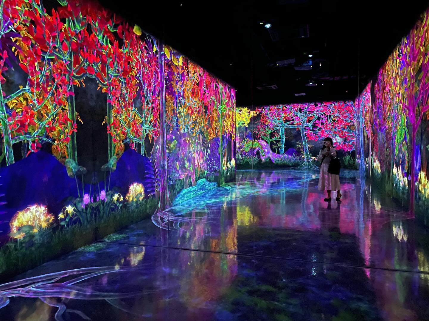 teamLab Forest Fukuoka - SBI SECURITIES Co., Ltd., Fukuoka | teamLab